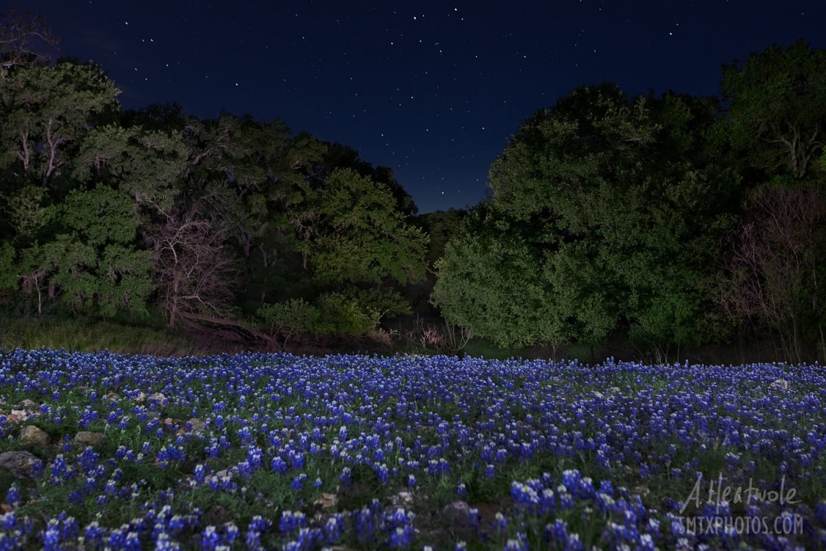 Photos of Beautiful San Marcos, TX & Hays County - San Marcos Photos